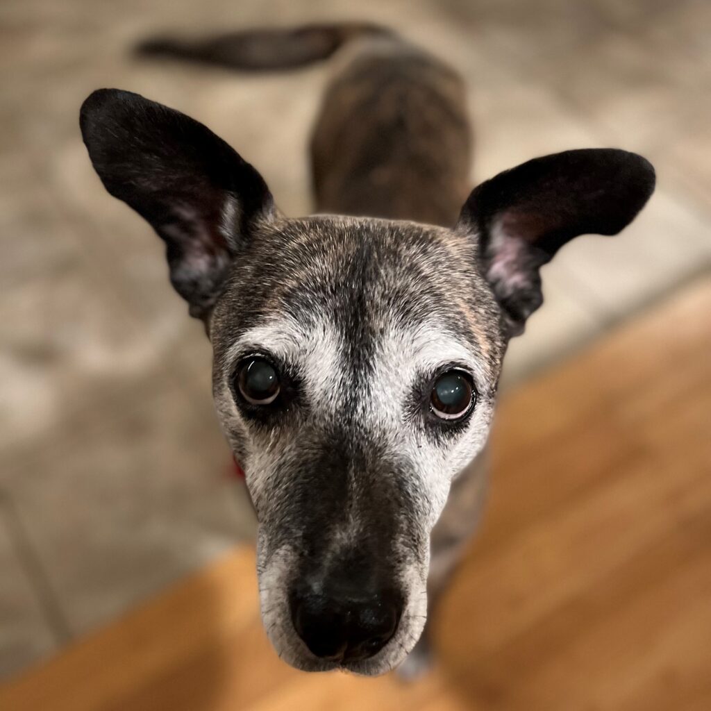 Bendel, Berne | Columbia-Greene Community College